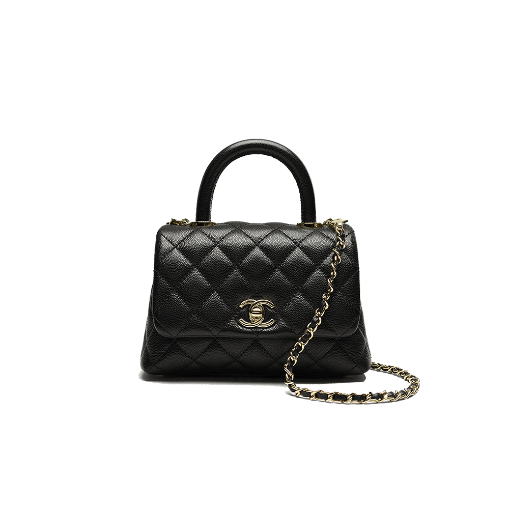 Mini Flap Bag with Top Handle – xxlv.top