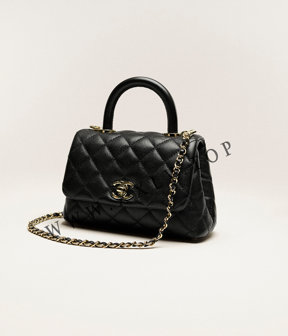 Mini Flap Bag with Top Handle – xxlv.top