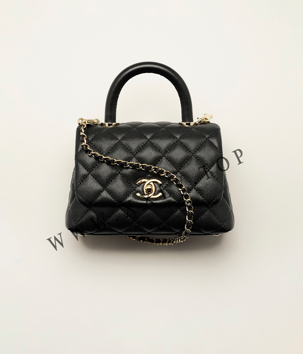 Mini Flap Bag with Top Handle – xxlv.top